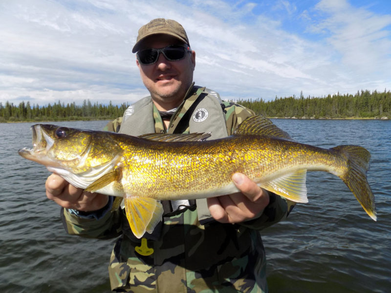 Utik Lake Fishing: World-Class Catches | North Haven Resort in Manitoba